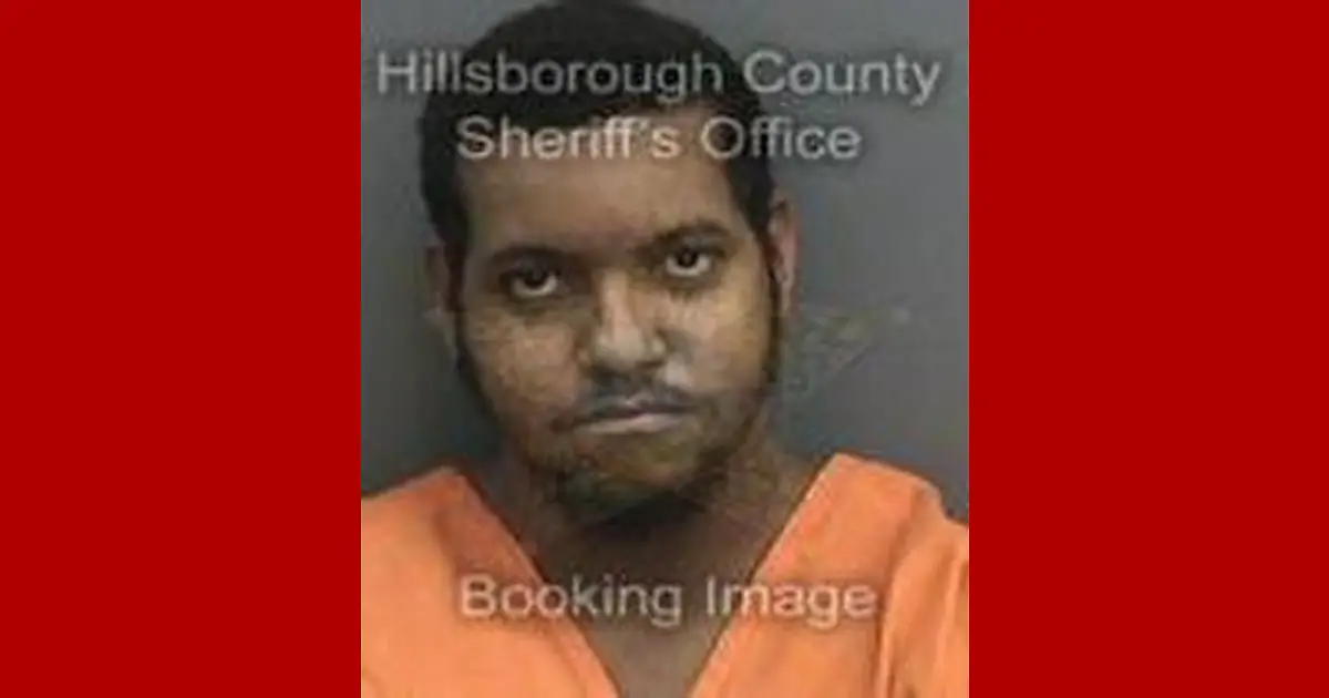 David, Bell booked for