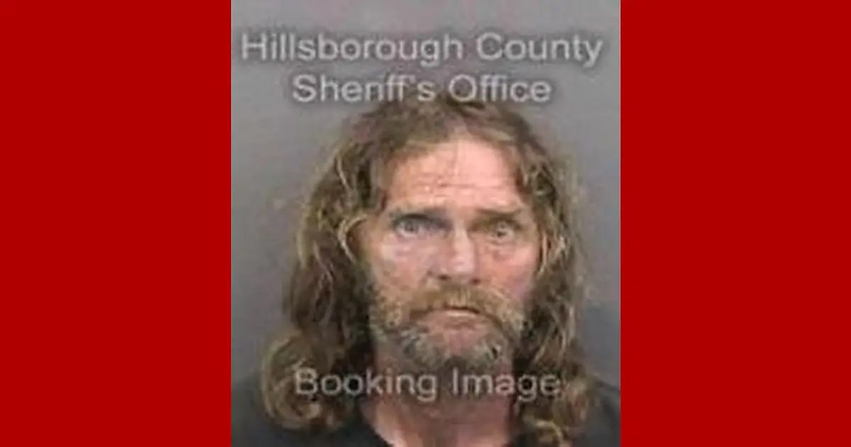 David, Hamilton booked for