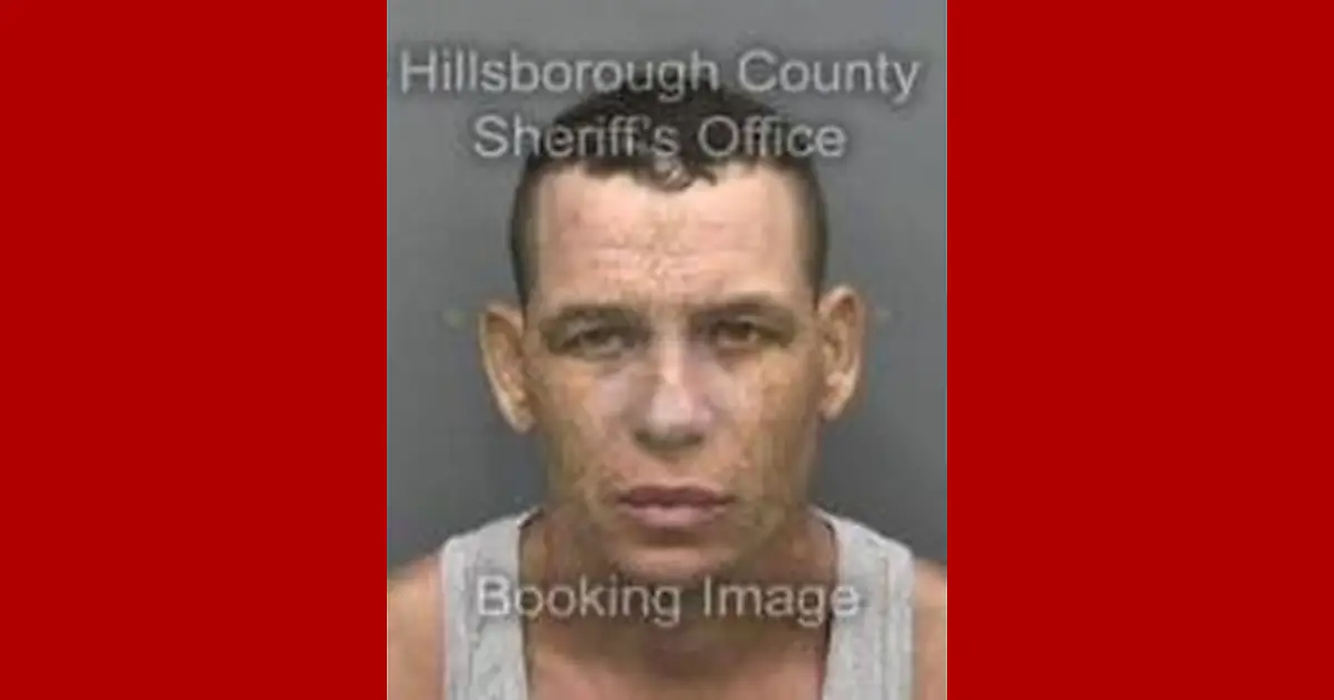 Neiber, Noa booked for