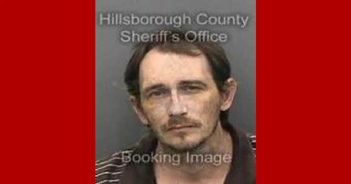 David, Rommel booked for