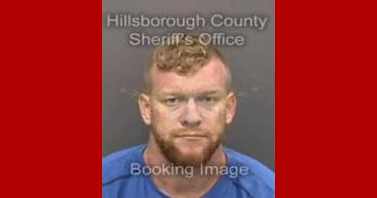 David, Freeman booked for
