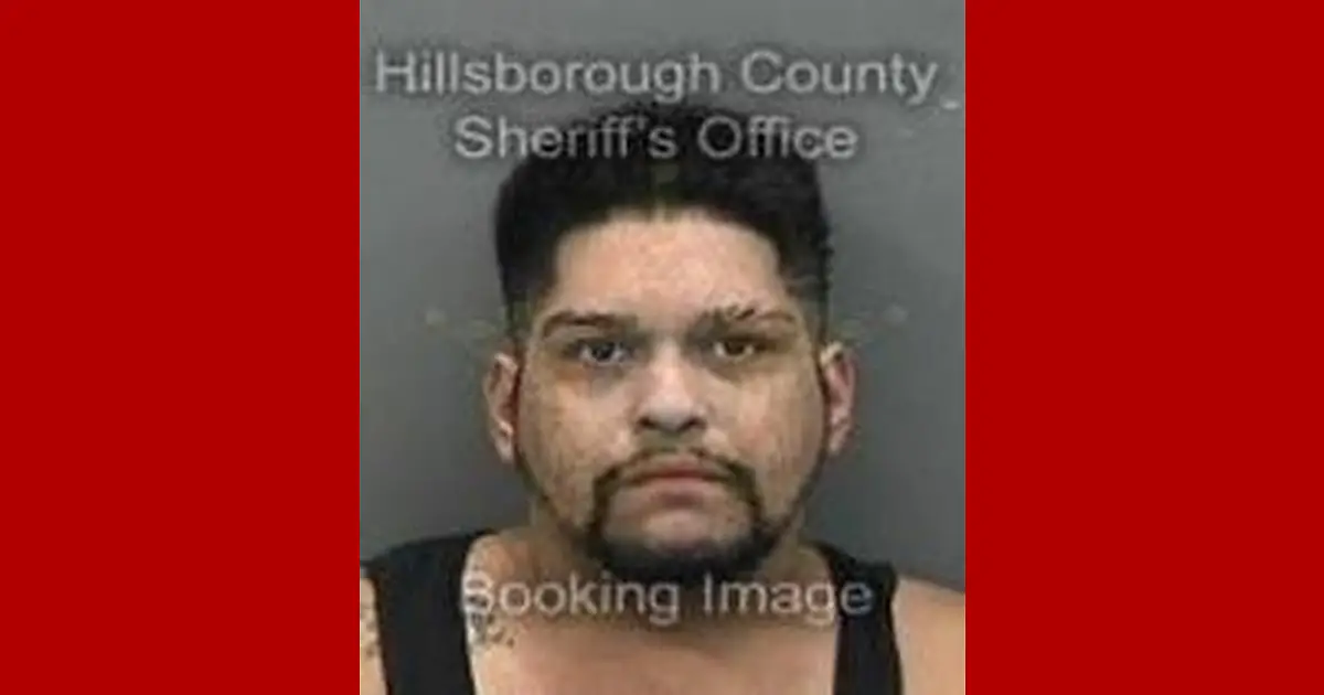 Nicholas, Harrison booked for