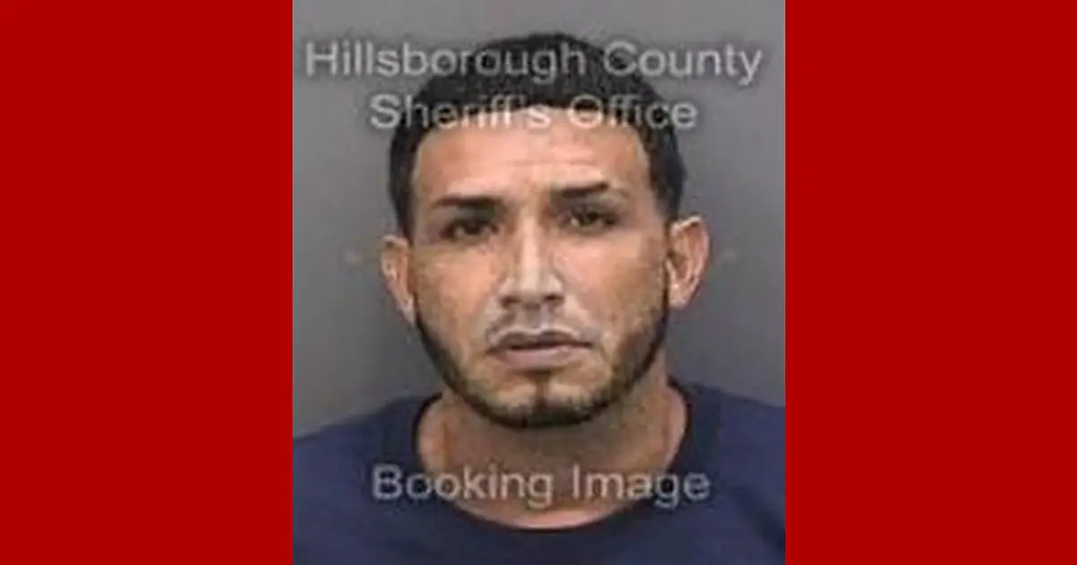 Nelson, Rosa booked for