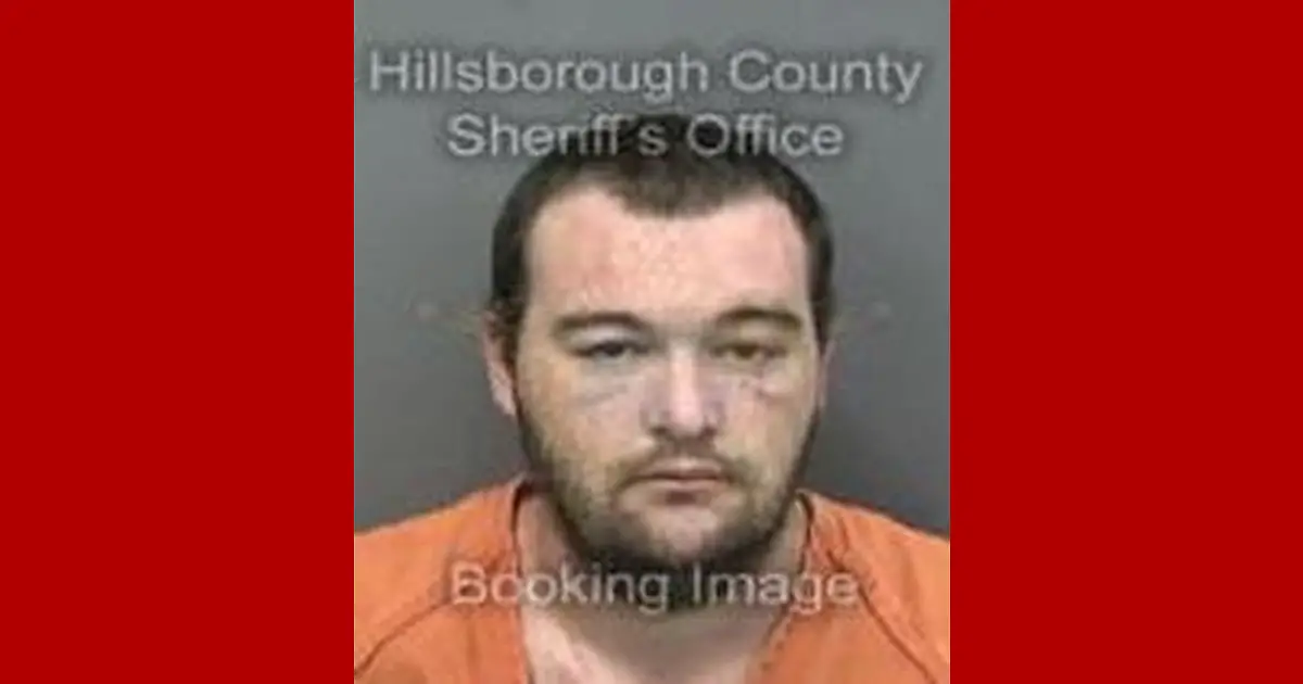 Dalton, Ryan booked for