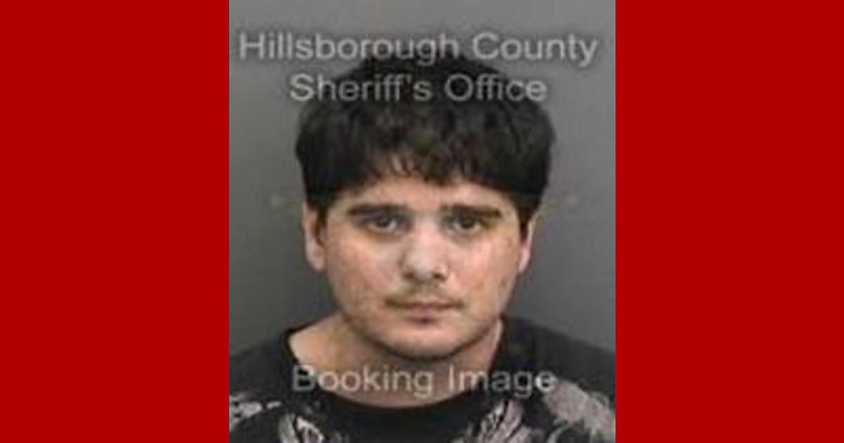 Schulwitz Erik of APOLLO BEACH booked for