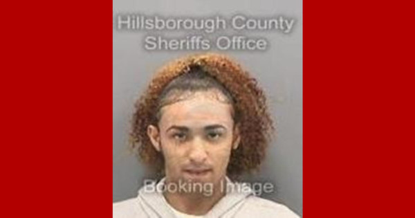 Michael Palacio of booked for