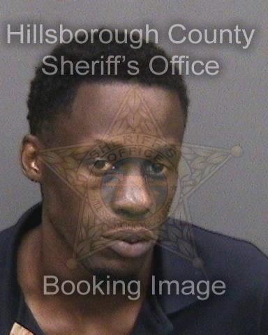 ALAN M RIGGINS of TAMPA booked for
