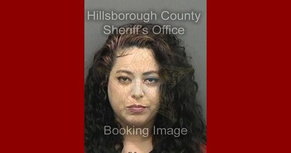DANETTE MARIE FREYRE of TAMPA booked for