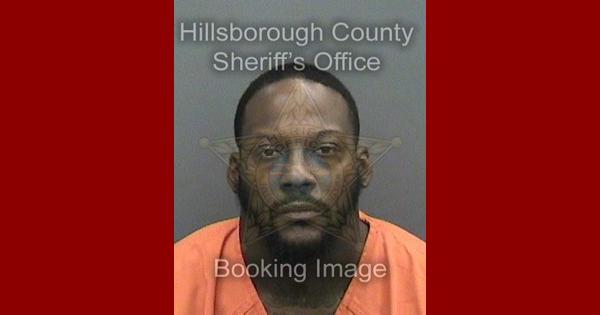 ERVIN LEE JR EVERETT of RIVERVIEW booked for