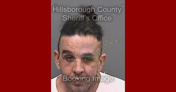 JONATHAN CARROLL OVERMAN of TAMPA booked for