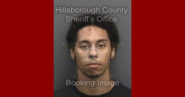 JOSHUA GREGORY CLUBB of TAMPA booked for