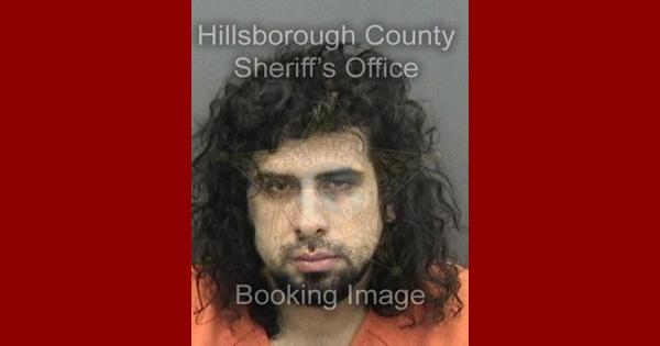 STEPHEN JAMES KING of SEFFNER booked for
