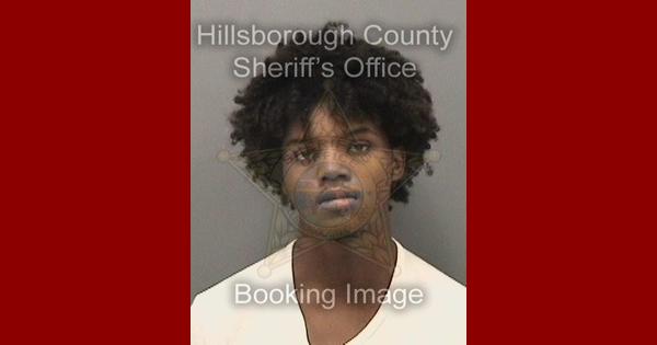 CAMERON M STOKES of TAMPA booked for