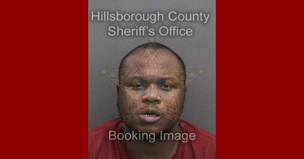 CARL JOSEPH ELKINS of TAMPA booked for