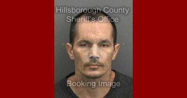 CHRISTOPHER ALLEN SHULTZ of RIVERVIEW booked for
