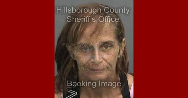 CRYSTAL GAIL COPE of TAMPA booked for