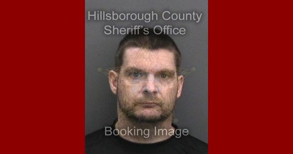 DAVID ALLEN GASKINS of RIVERVIEW booked for
