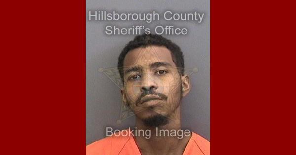 DEAUVIS ENRIQUE GAUNTT of TAMPA booked for