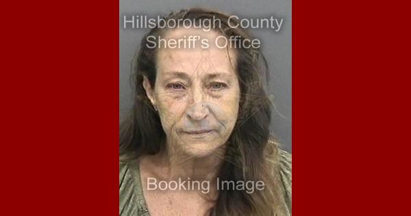 DENISE RENE HACKMAN of TAMPA booked for