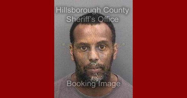 DESMOND LESEAN RICE of TAMPA booked for