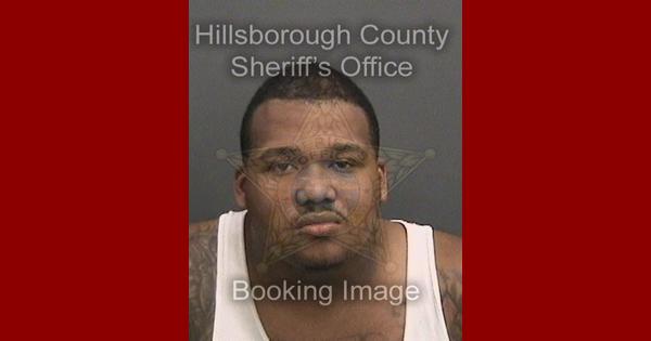 JONATHAN ANGULO SMITH of TAMPA booked for