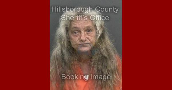 KELLY RAE BAUM of TAMPA booked for