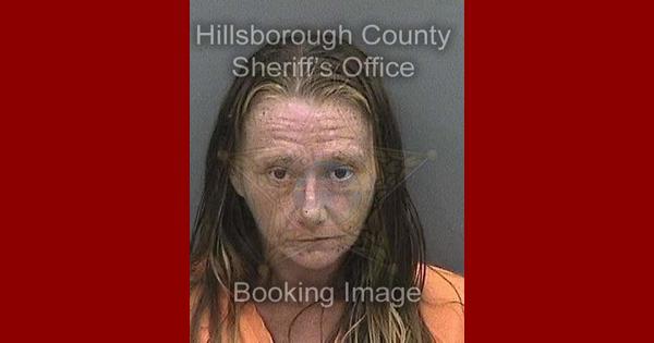 LISA MARIE BROWN of TAMPA booked for