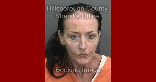 LISA MARIE DEMELLO of TAMPA booked for