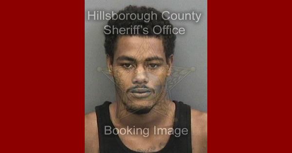 MARVIN LEWIS III SINGLETARY of TAMPA booked for