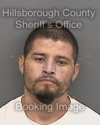 RAMON ROQUE of GIBSONTON booked for
