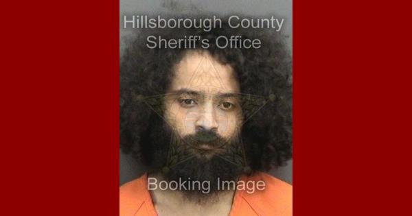 RICHARD MICHAEL PETERS of TAMPA booked for