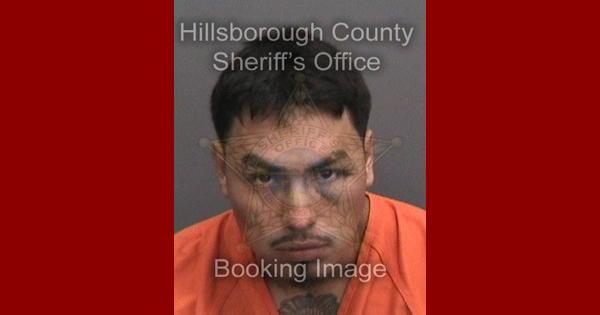 SIMON JESUS SANDOVAL of GIBSONTON booked for