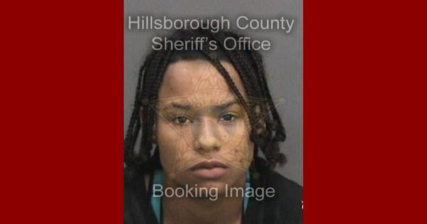 SUMMER ANGEL MILLER of TAMPA booked for