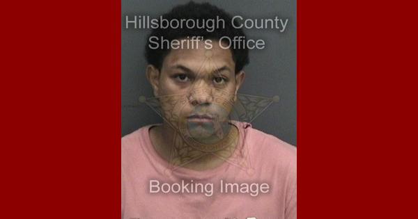 TEVIN DEANGELO ROBINSON of TAMPA booked for