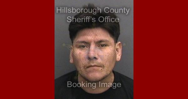 VALENTINE MALDONADO RIVERA of TAMPA booked for