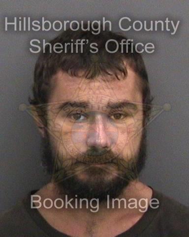 CHRISTOPHER ALEXANDER FOWLER of PLANT booked for