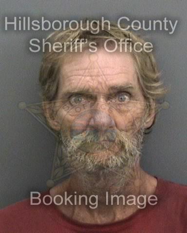 DAVID HAMILTON of TAMPA booked for