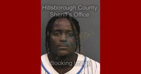 JERON WILSON of TAMPA booked for