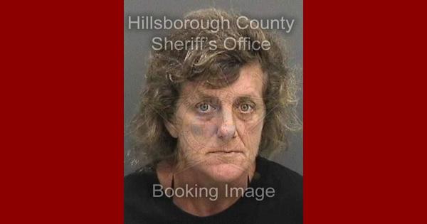 JUDY CHRISTINA MANGOLD of SEFFNER booked for