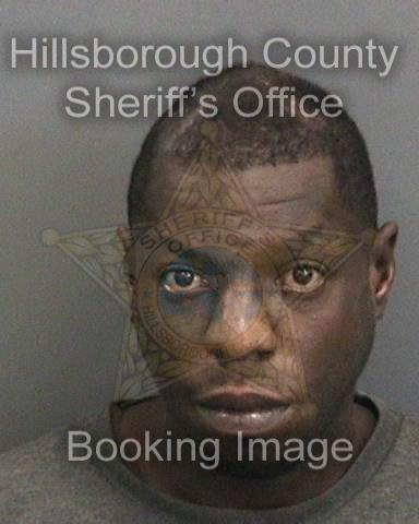 MICHAEL FARR of TAMPA booked for