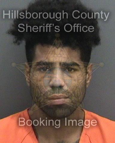 OMAR JR RAMIREZ of TAMPA booked for