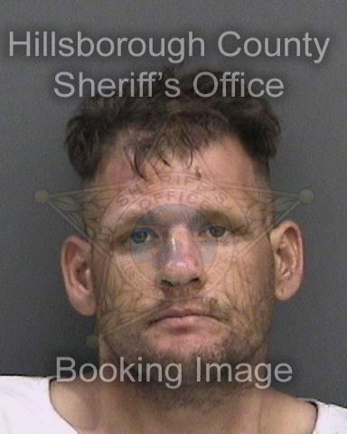 PATRICK MARSHALL WIGGINS of booked for