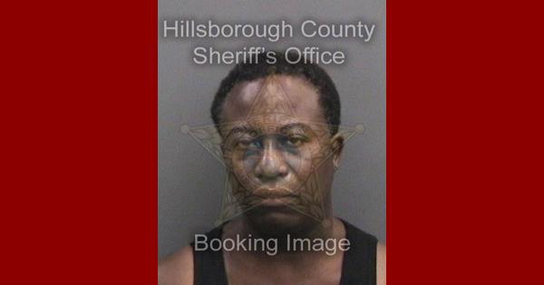 REGINALD NATHANIEL WEEMS of TAMPA booked for