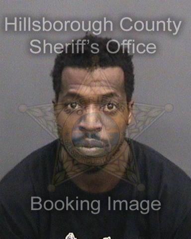 RONALD LEMAN SWINSON of TAMPA booked for