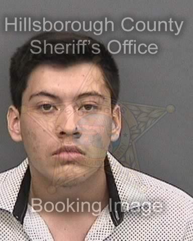 BENJAMIN MONTES of HOMESTEAD booked for