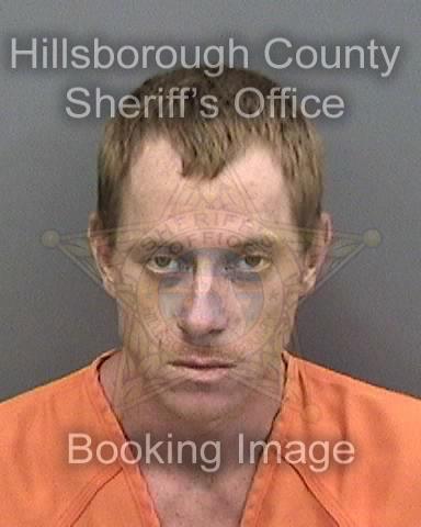 BRYAN DENNEY MCCLELLAN of RIVERVIEW booked for