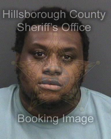 CODEY JUDAN JOHNSON of TAMPA booked for