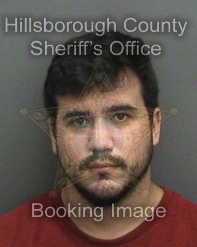 DAVID RAMON of CLEARWATER booked for