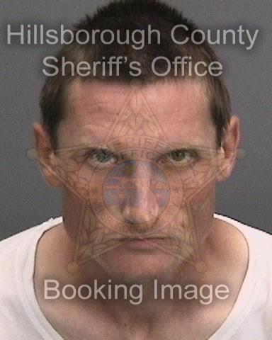DEVON JAMES MCNABB of TAMPA booked for