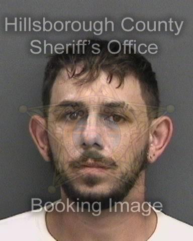 DUSTIN E GONZALEZ of RIVERVIEW booked for